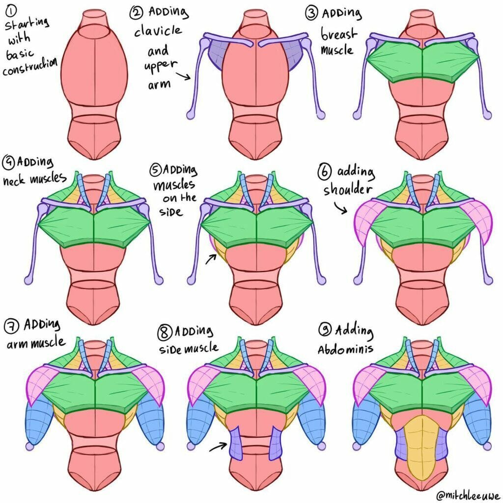 Upper Body - Digi Lines